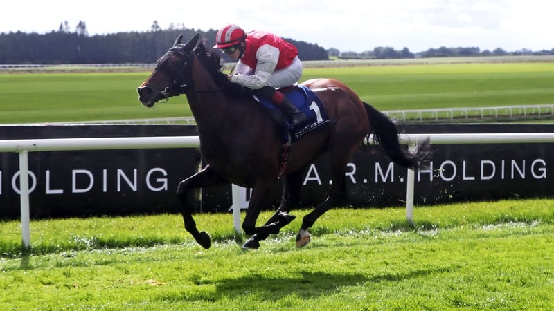 Versatile Mighty Blue scores Listed win at Gowran Park