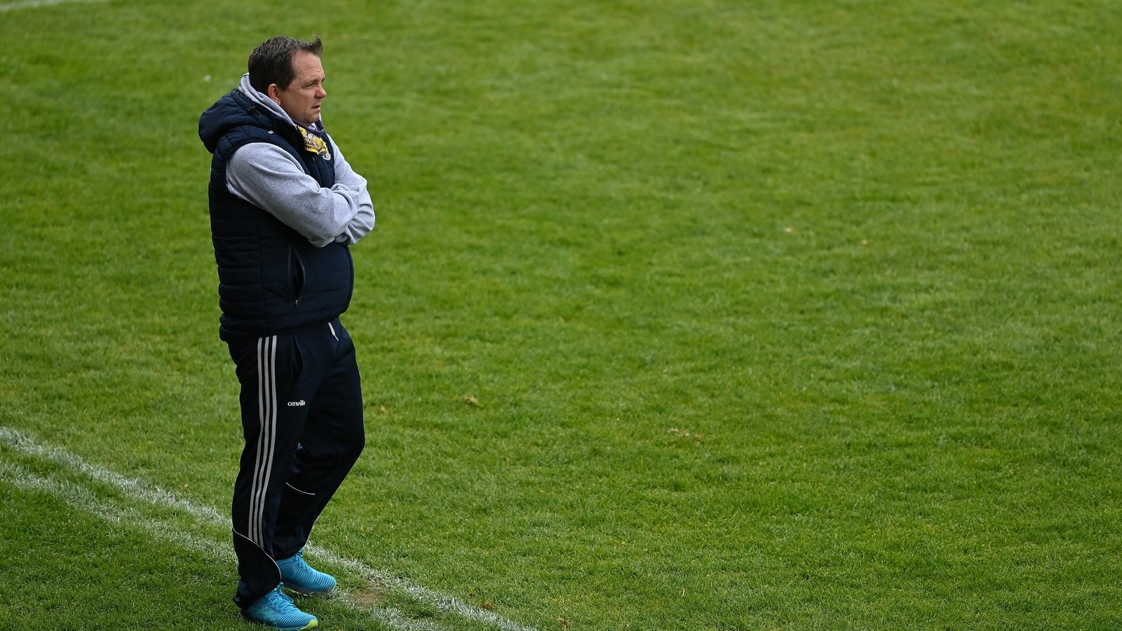 Davy Fitzgerald steps down as Wexford boss