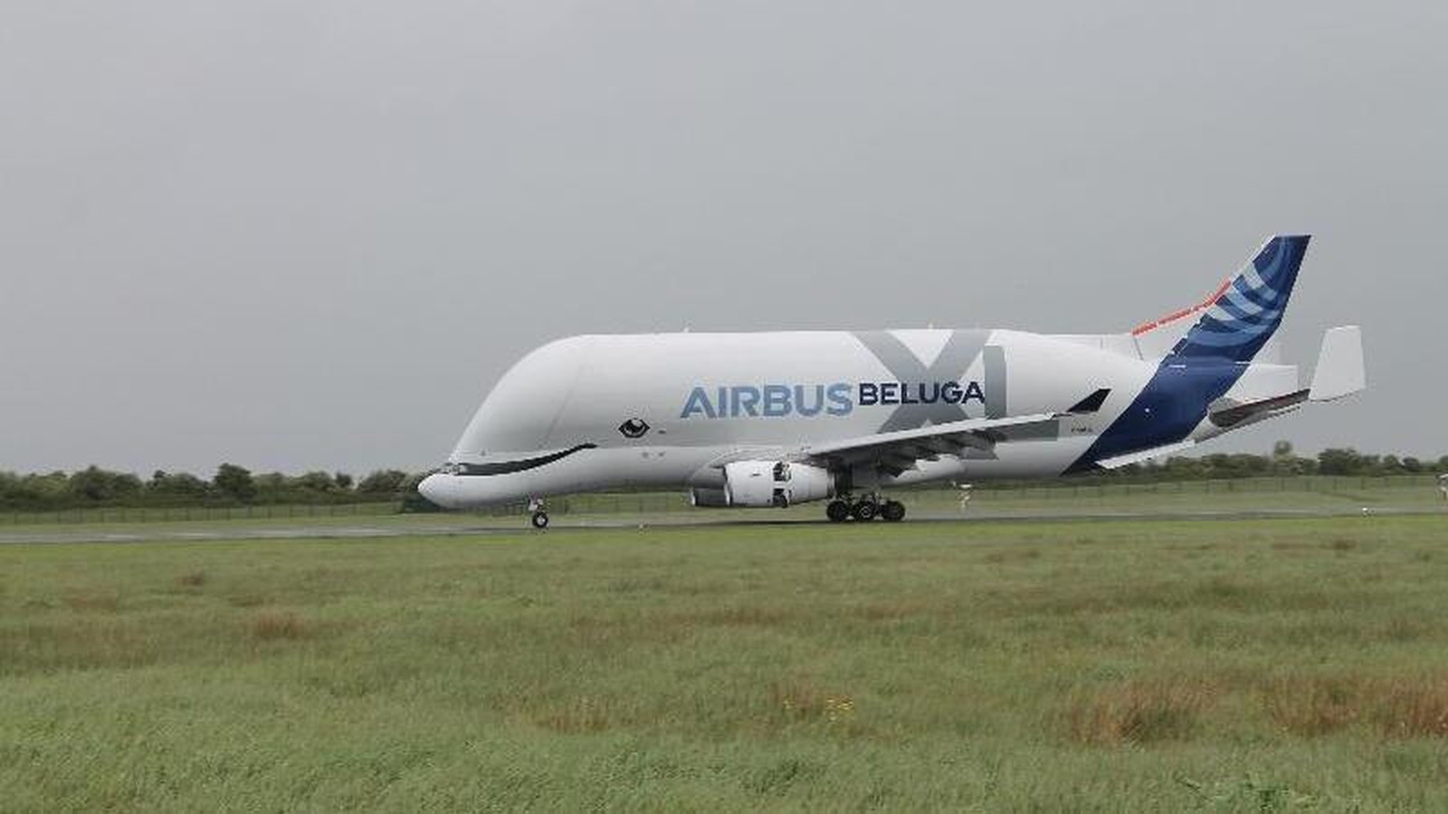 Beluga plane takes flight over Clare for wind training