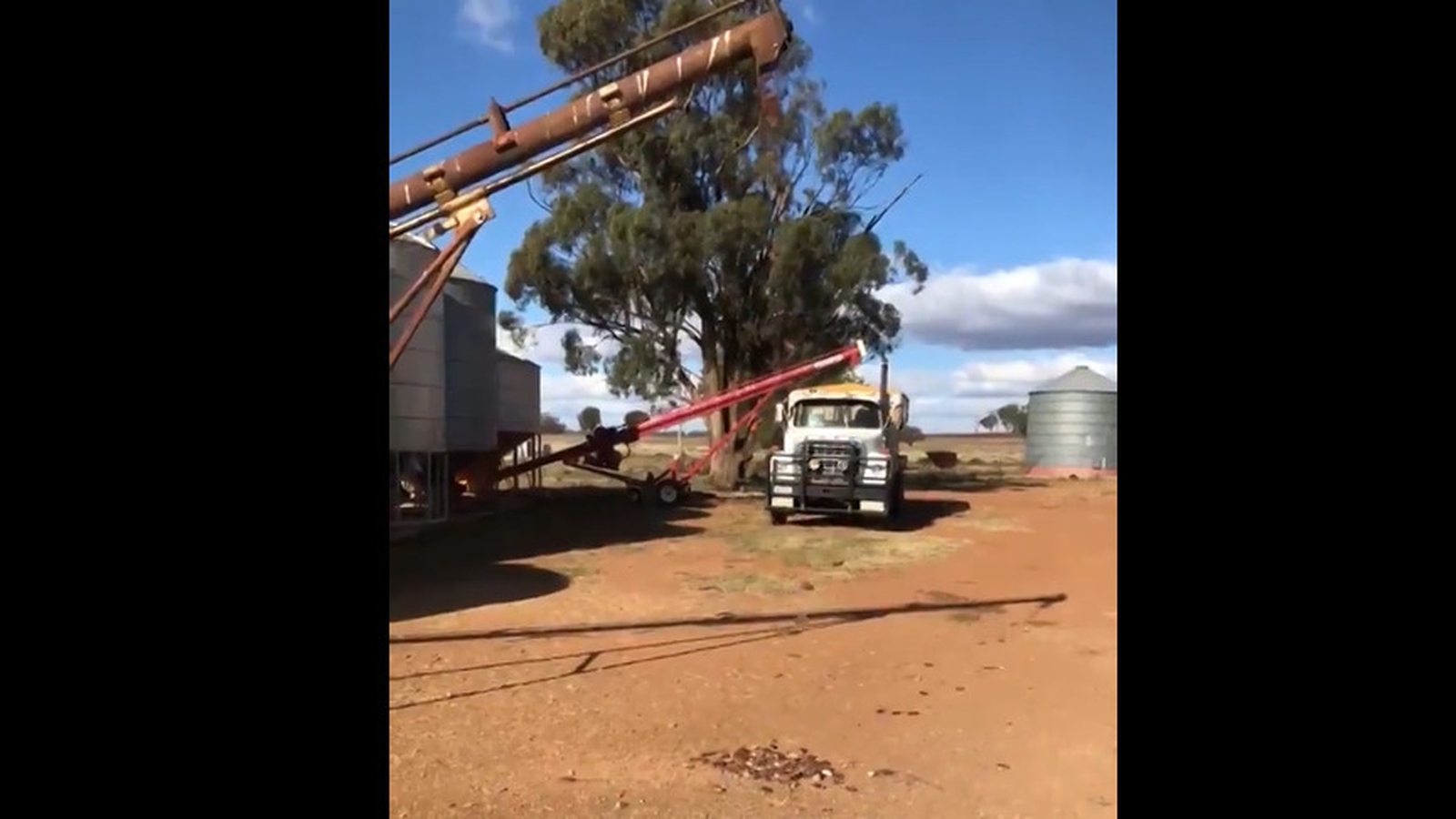Raining mice as Australian rodent plague augurs badly