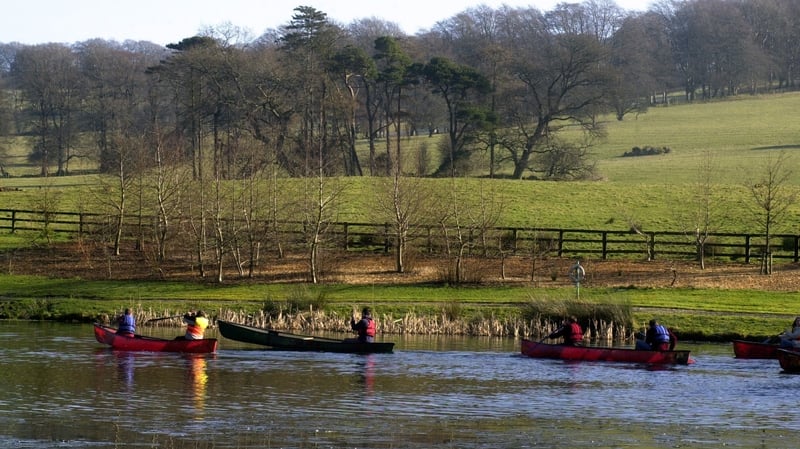 Barretstown celebrates 30 years of 'adventure' and 'joy'