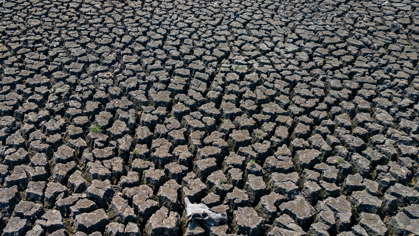 Historic drought hits two key regions in Brazil