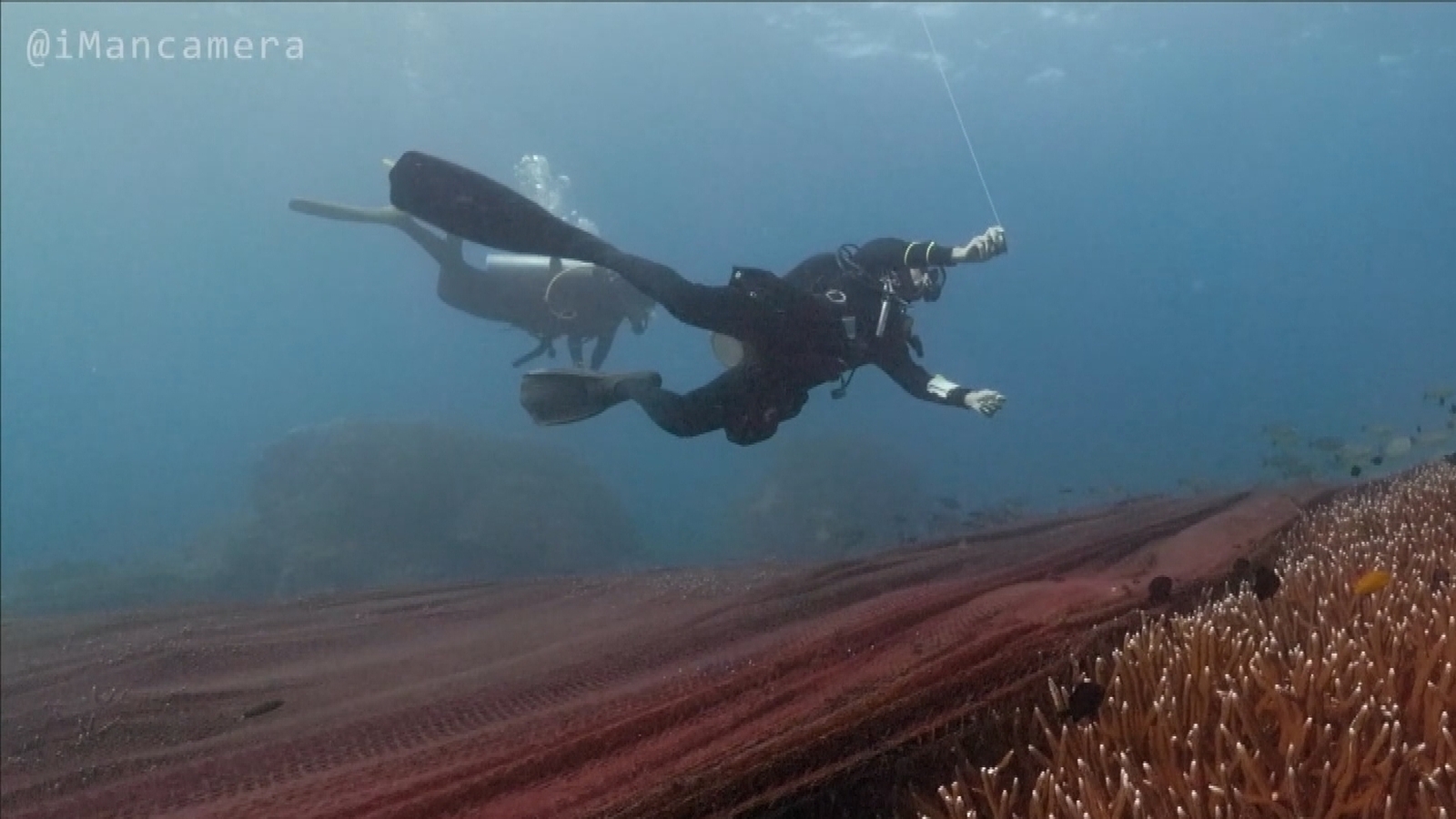 Coral reef covered by giant fishing net