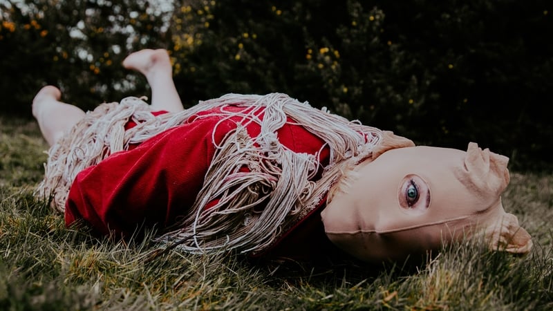 They Come Then, The Birds - Amanda Coogan on her new exhibition