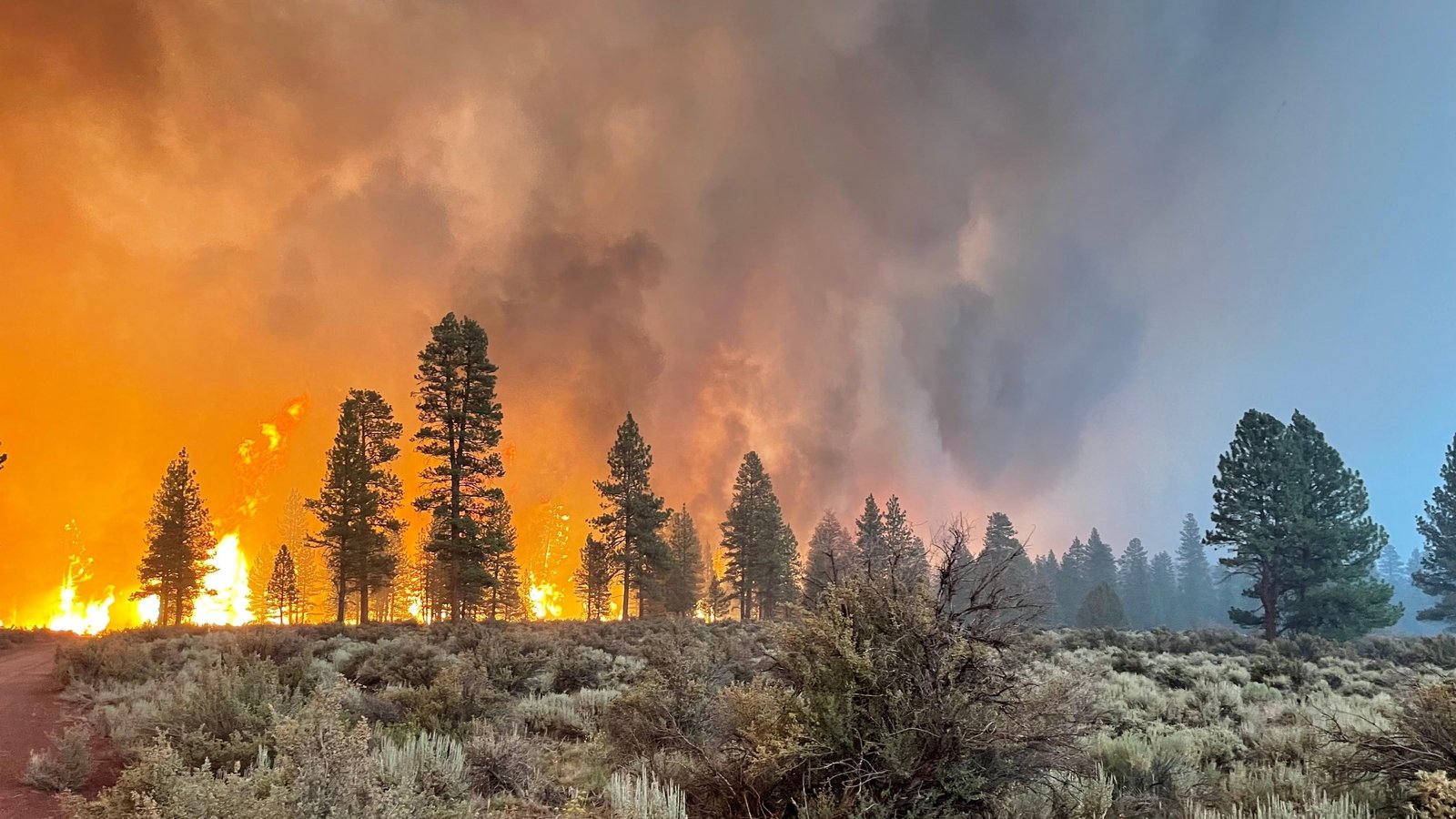One million acres on fire across western US, Canada