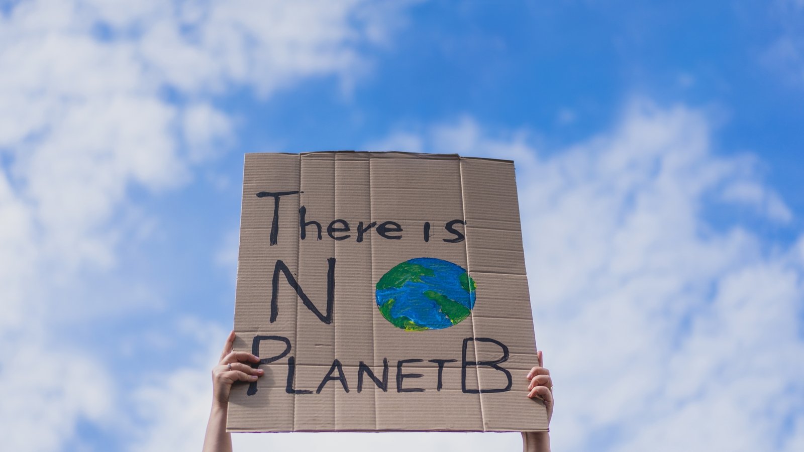 'Accelerate Green Programme' launched for businesses