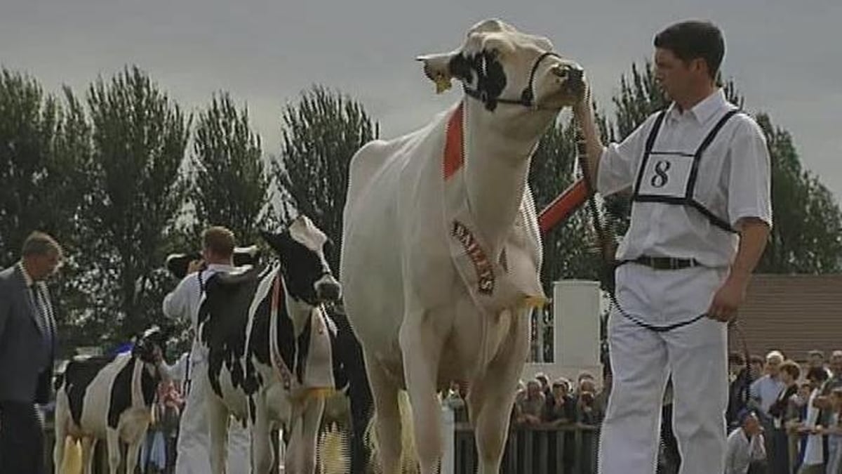 Granard Agricultural show | CountryWide - RTÉ Radio 1