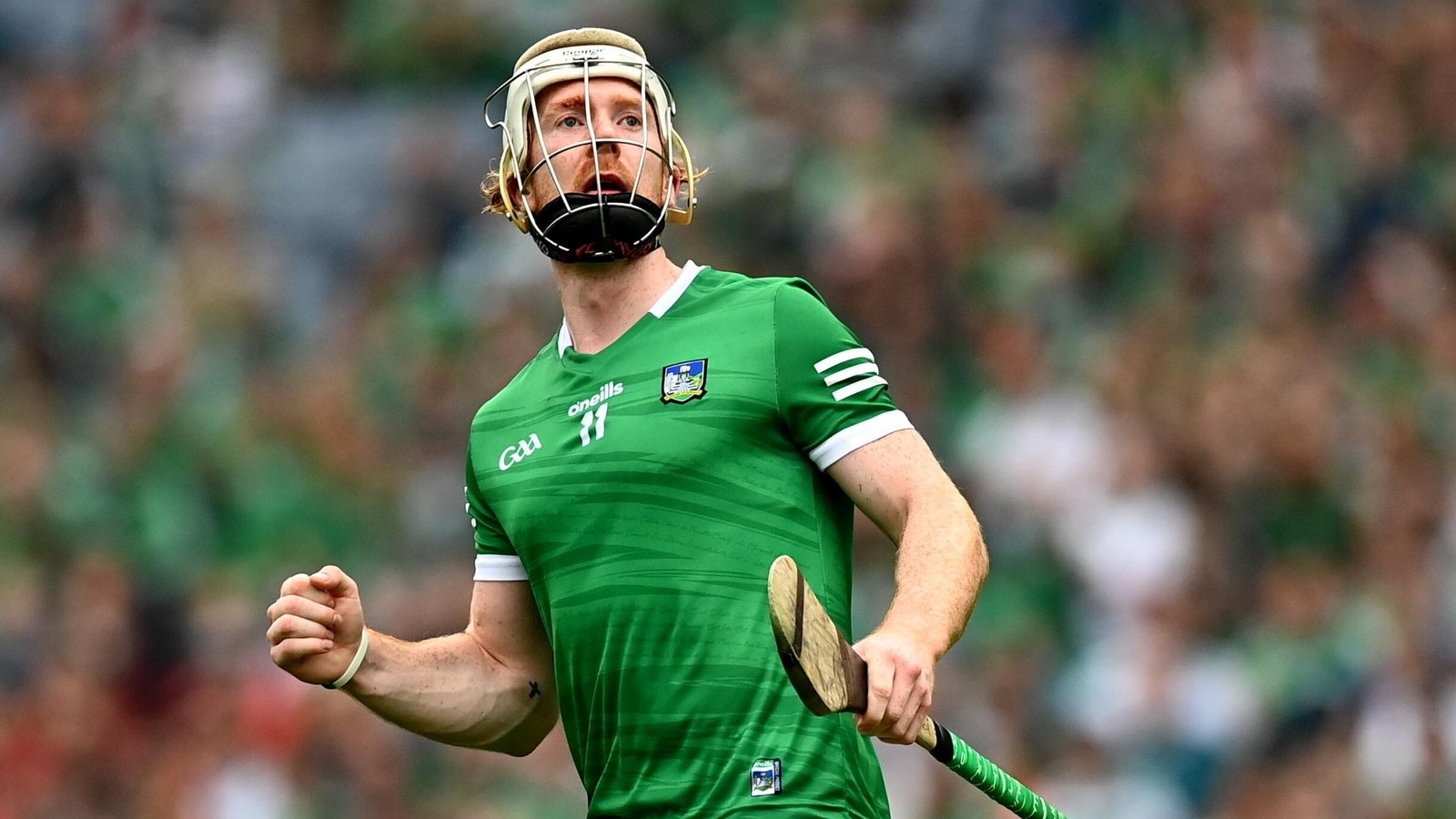 Lynch would be big loss but Limerick can cope - Dowling