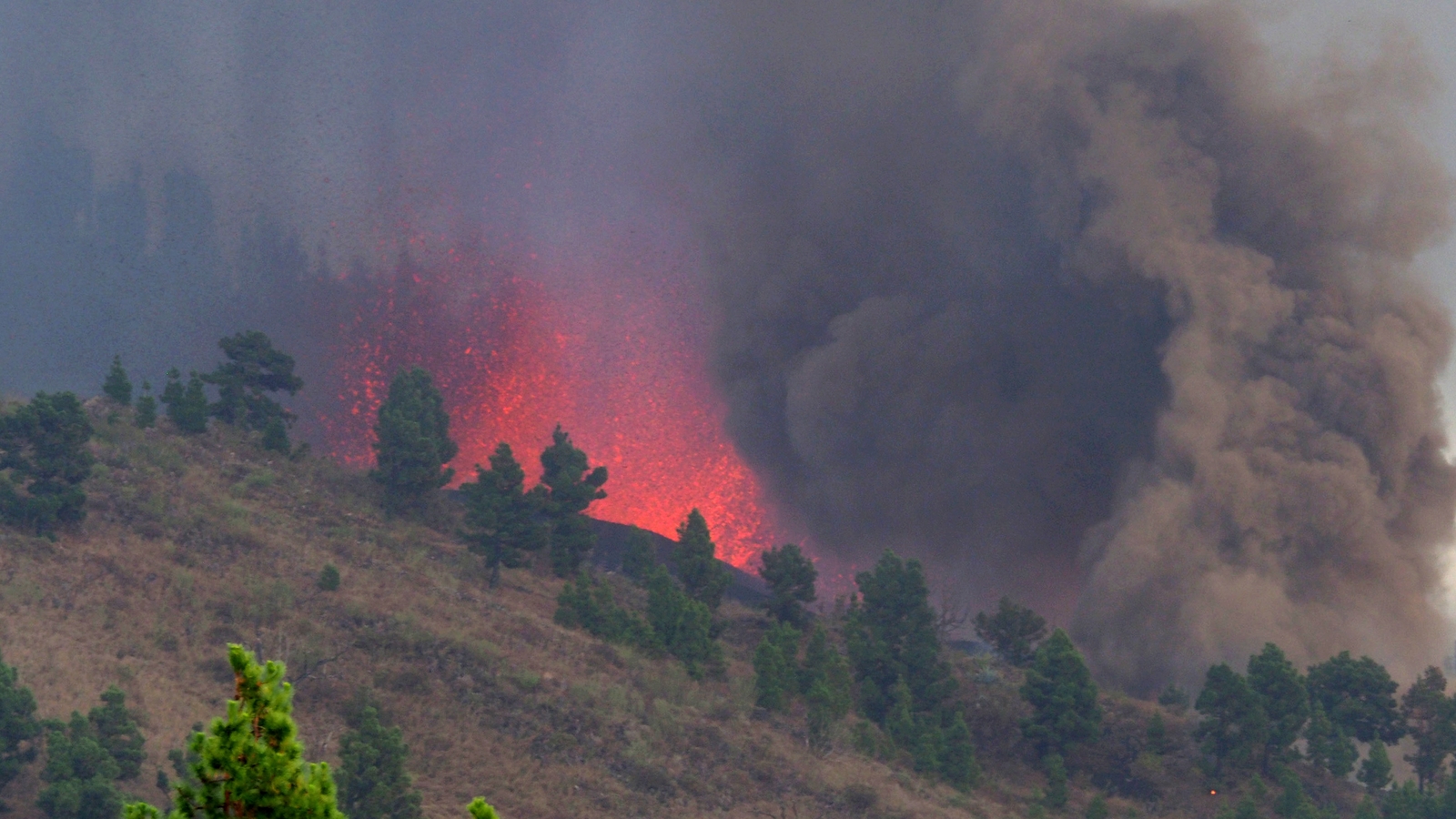 Volcano erupts on Spain's Canary Islands