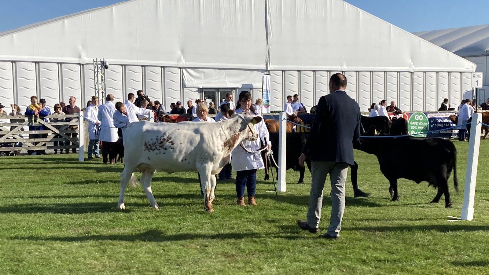 Visitors return to Balmoral Show in Northern Ireland