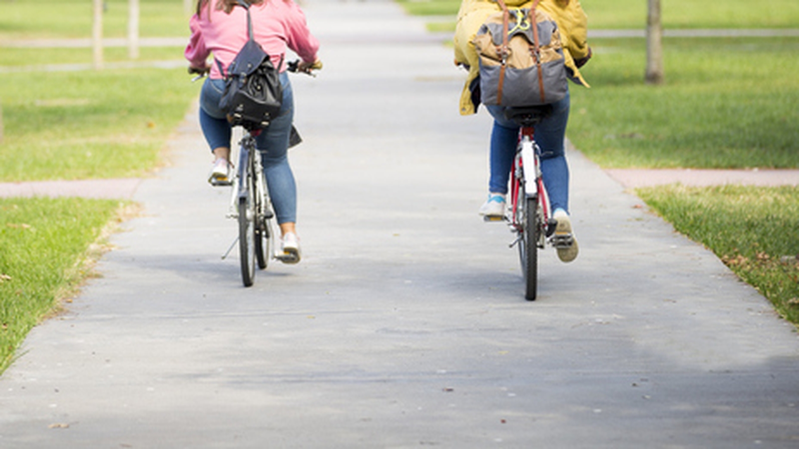 DLRCC votes against motion to restart cycle route works