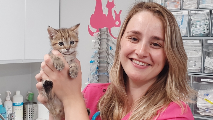 Saol An Tréidlia S01E03 - RTÉ Player