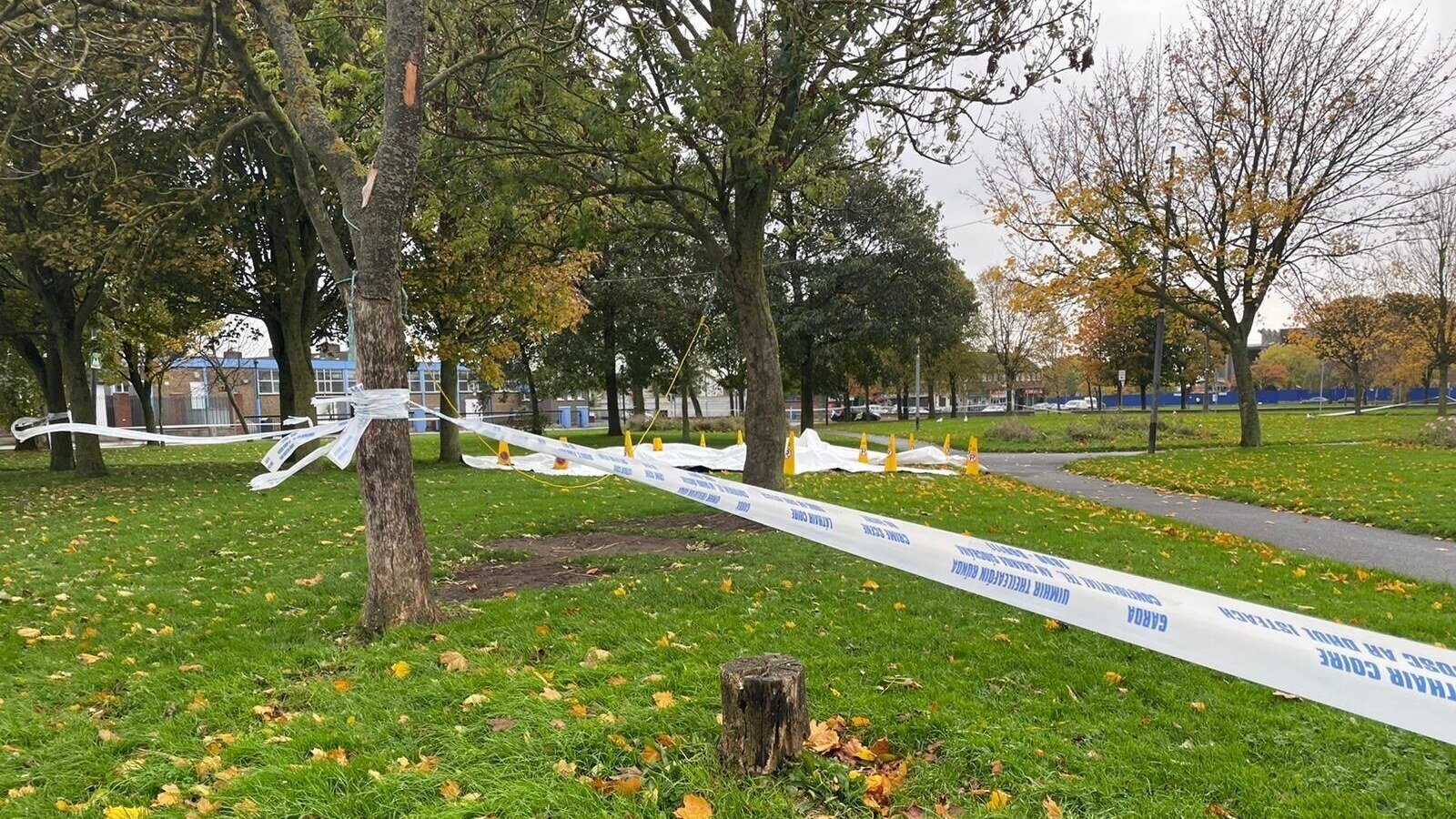 Man being treated for gunshot wounds to the head