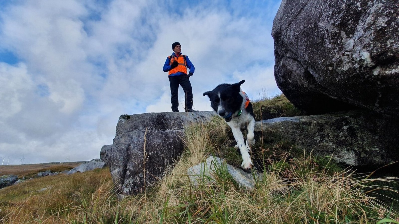 How search dogs find missing people