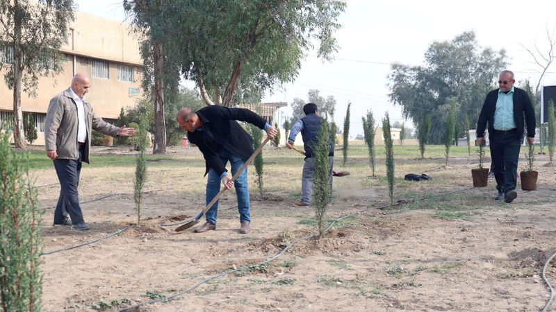 Hope takes root as trees planted in war-torn Iraq city
