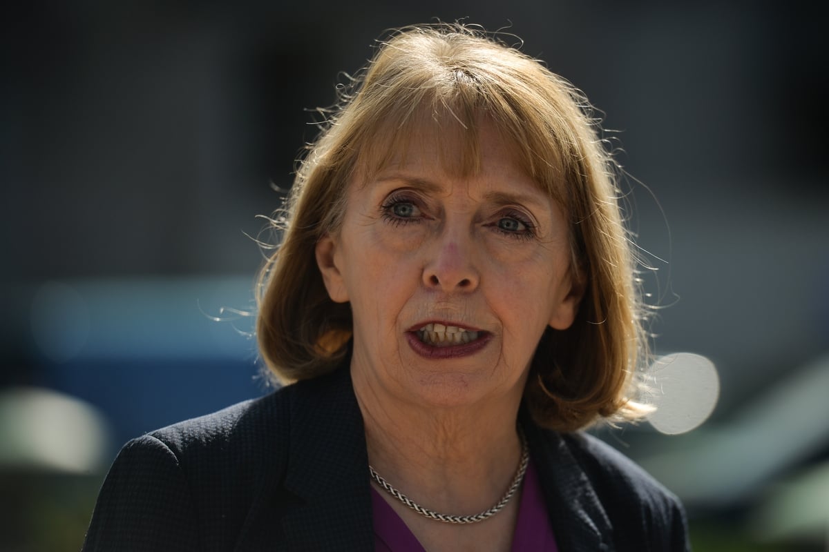 Roisin Shortall, Co-leader of the Social Democrats responds to the ...