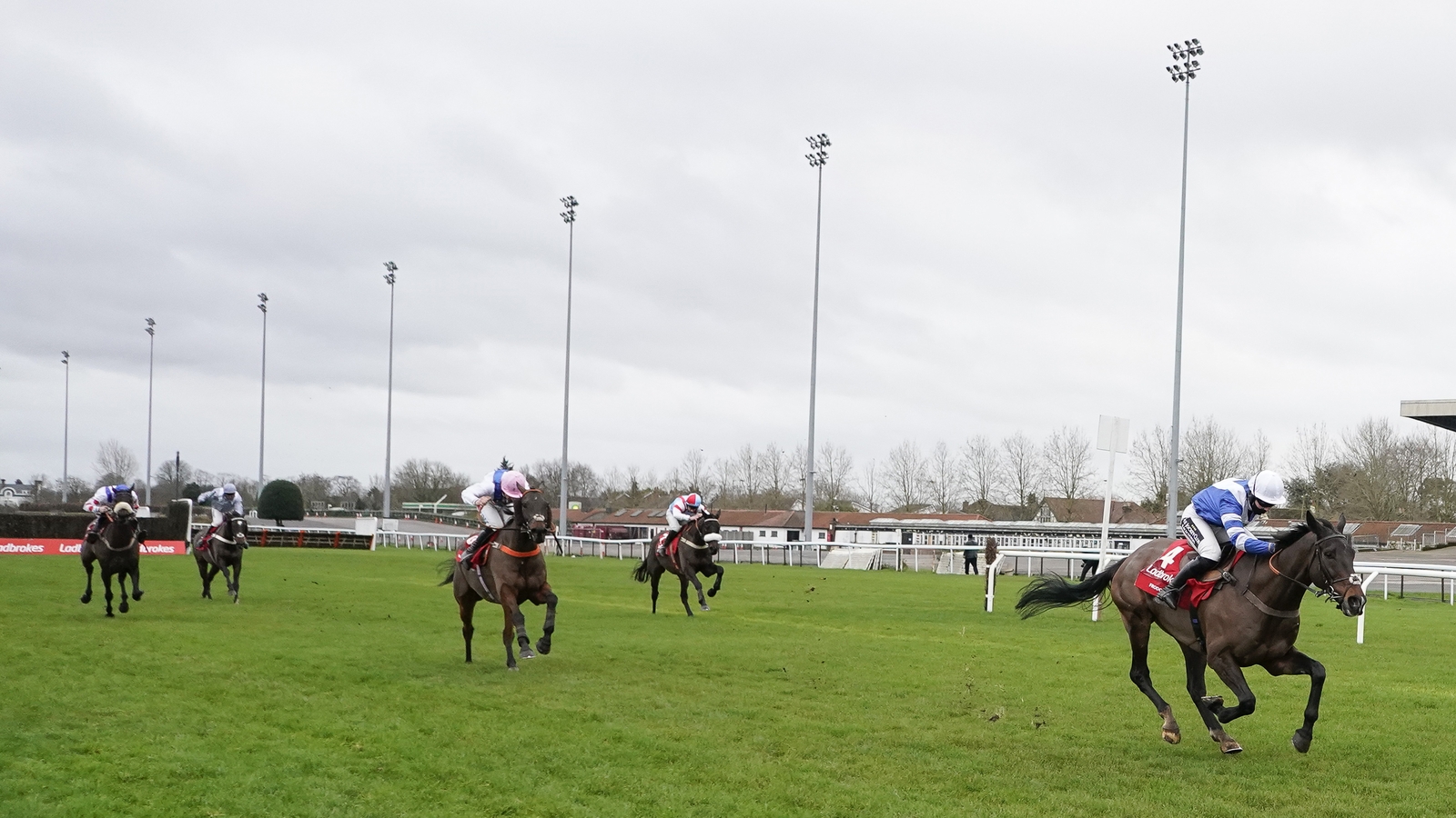 Nicholls excited by his King George trio