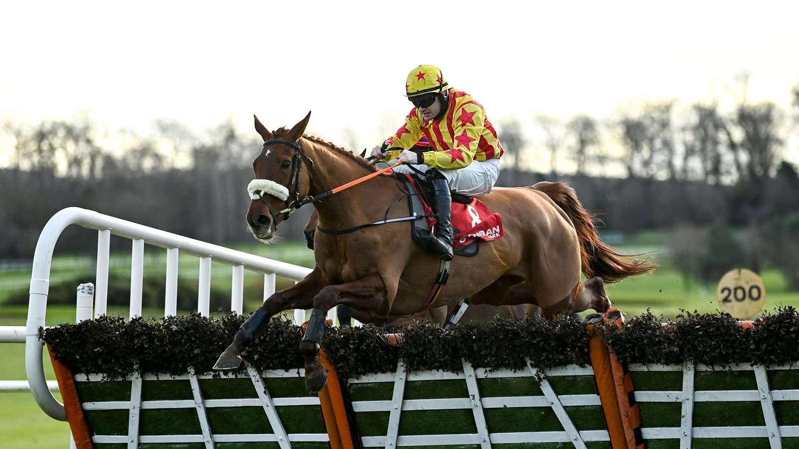 Royal Kahala lands Galmoy as Klassical Drama fades