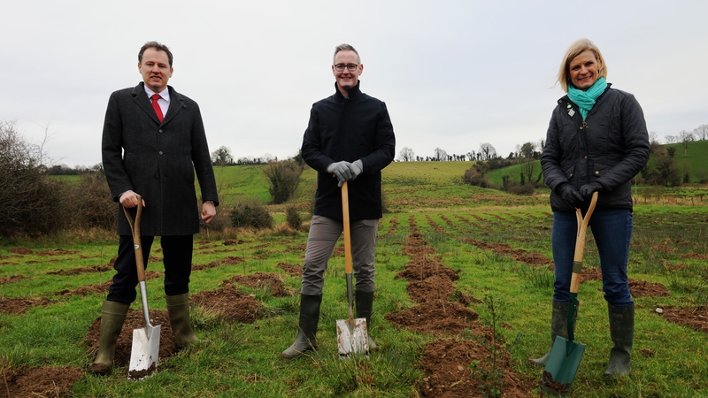 Boots Ireland begins initiative to plant 15,000 trees