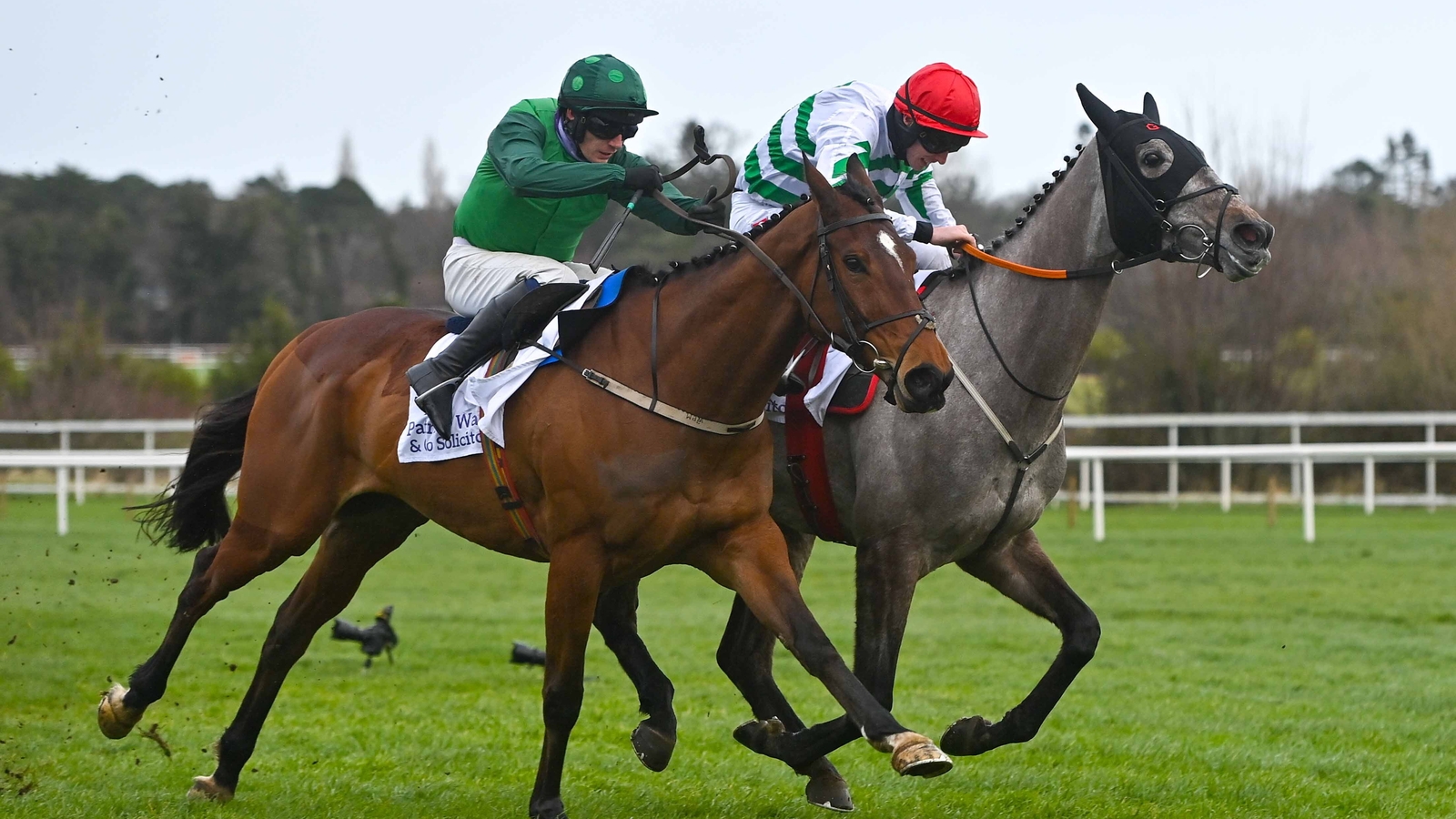 Dublin Racing Festival: Blue Lord wins eventful Arkle