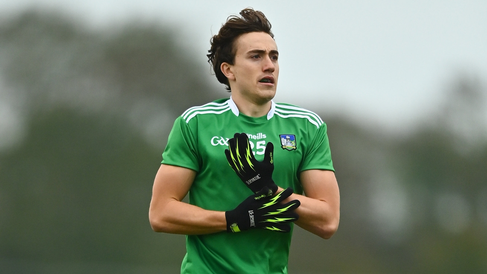 Limerick build on fast start in overcoming Saffrons