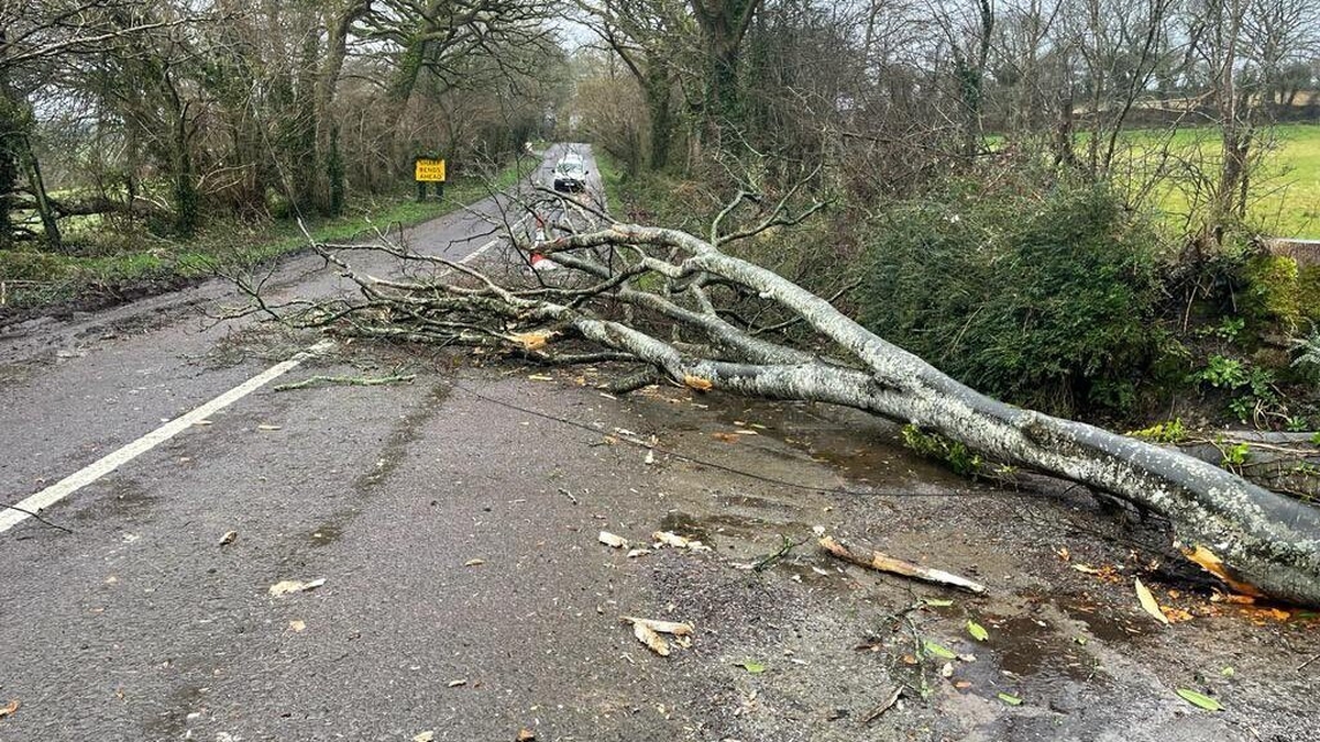 Storm Eunice | Today with Claire Byrne - RTÉ Radio 1