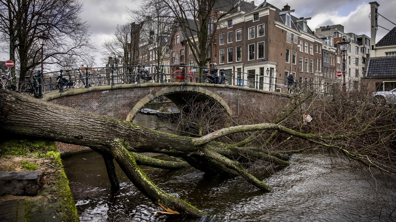 Two dead as Storm Eunice hits Netherlands