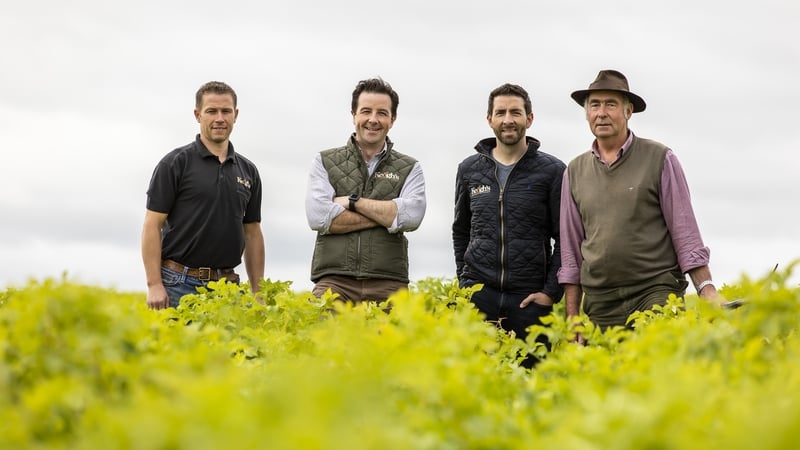 Keogh's Crisps to increase production capacity by 50%