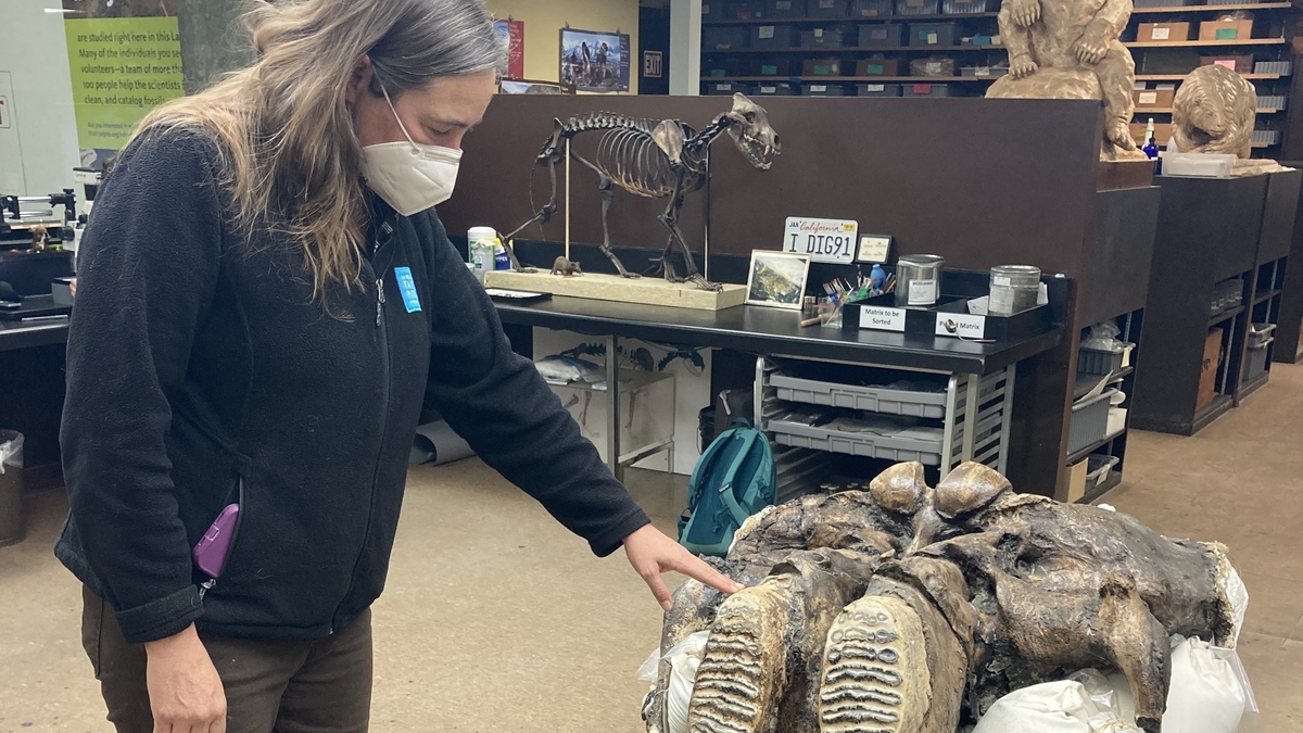 LA Postcard #2 | Culture File | Lorcan Murray's Classic Drive - RTÉ ...