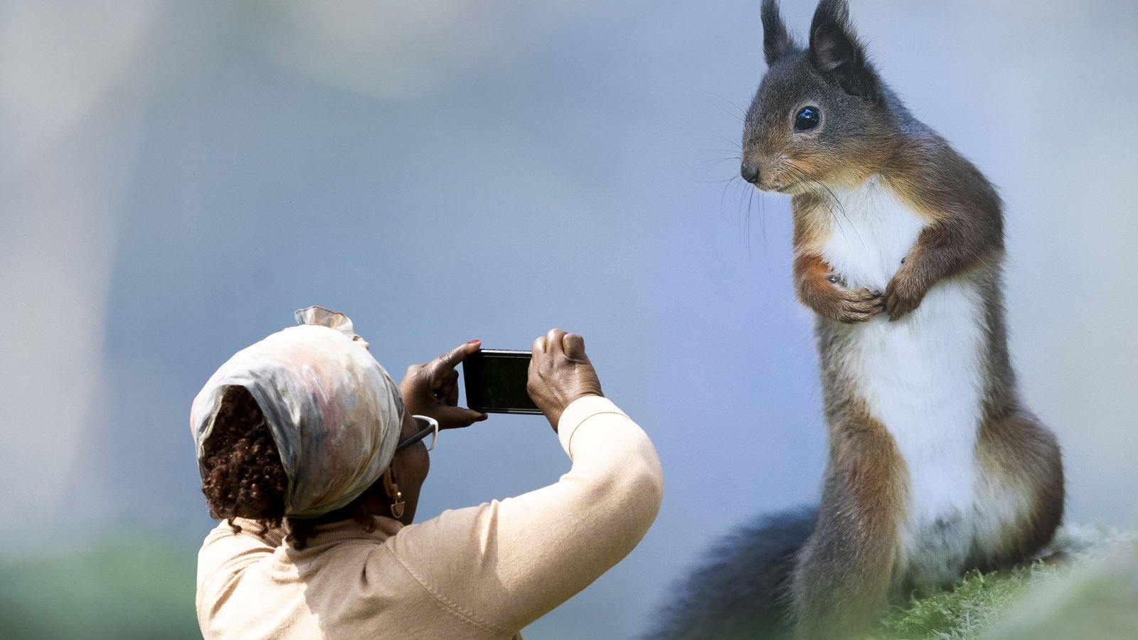 Eye on Nature: RTÉ's photography competition is back!