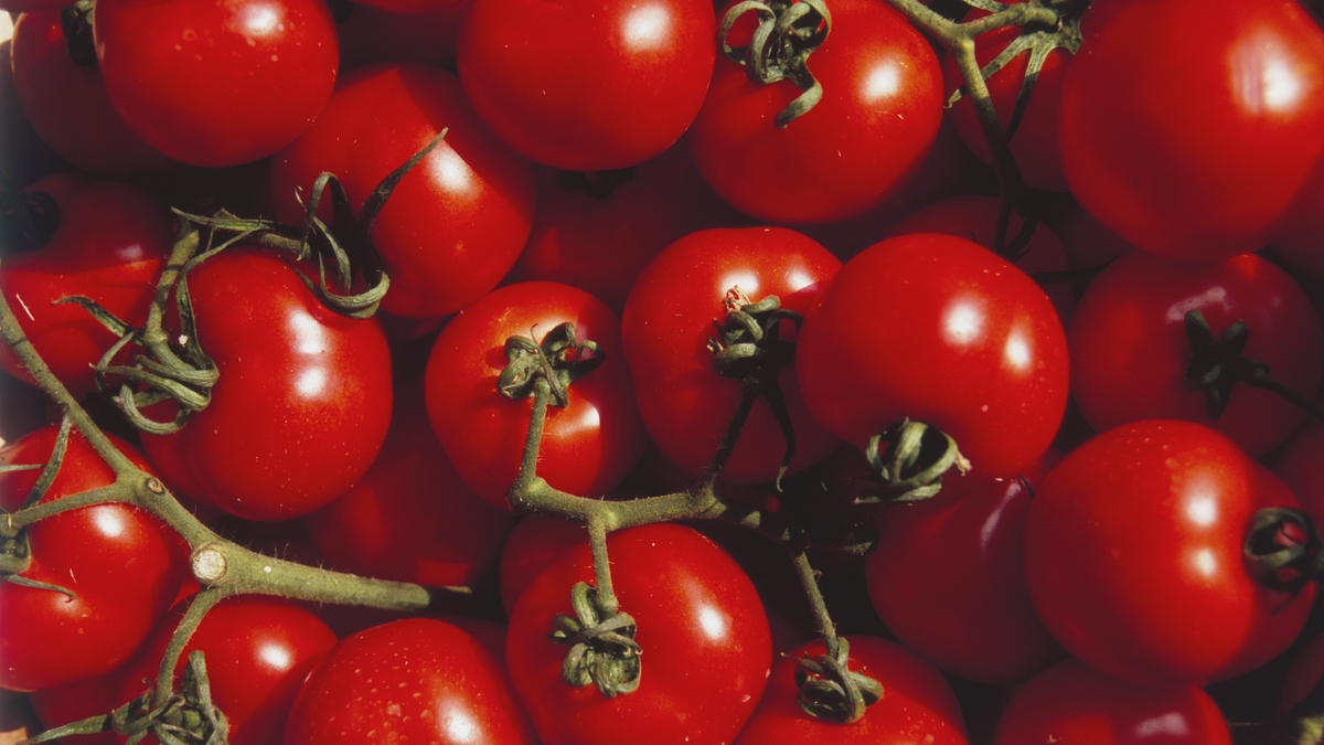 Totally Terrific Tomato Festival | CountryWide - RTÉ Radio 1