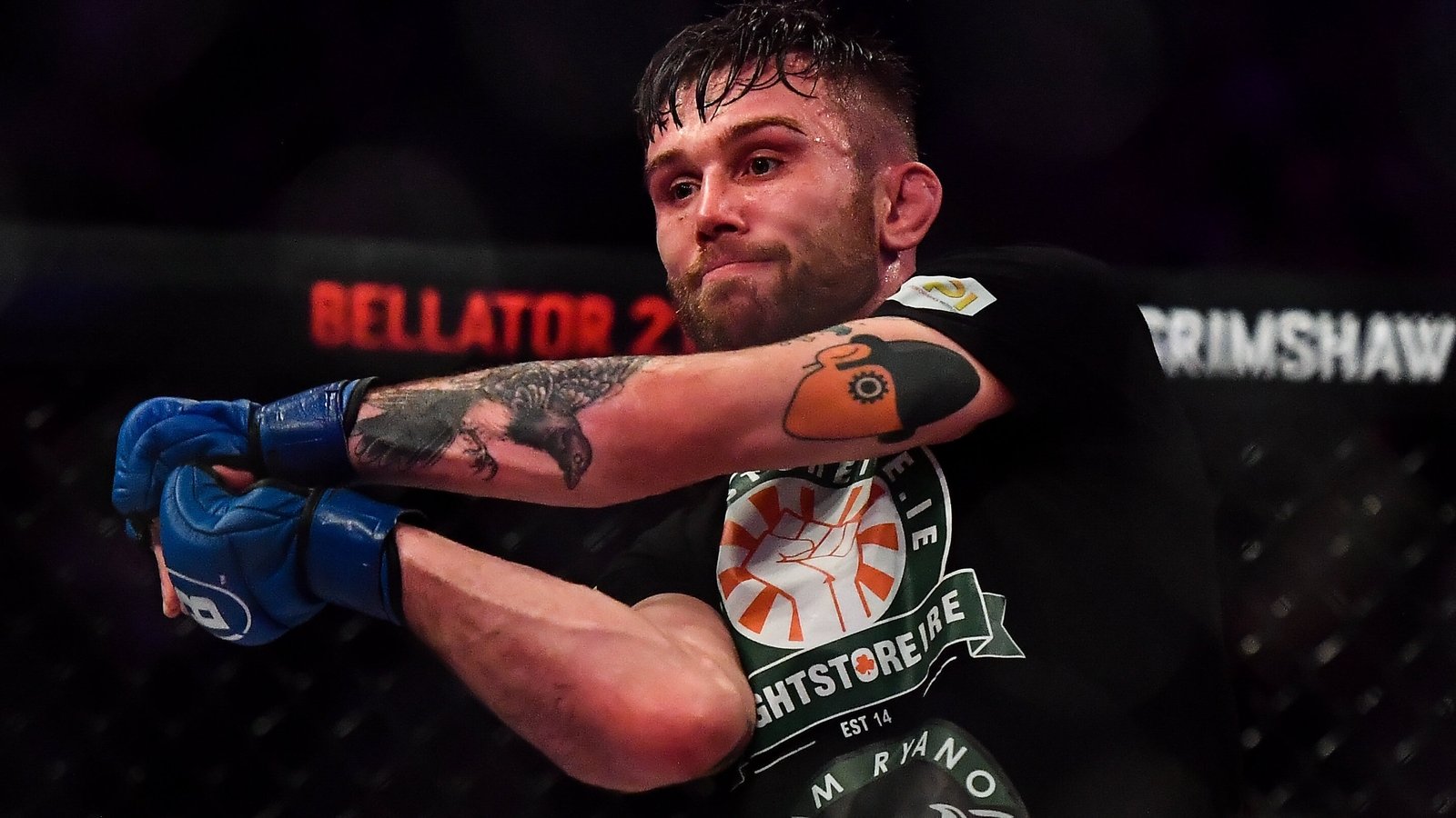 Anthony Showtime Pettis Wallpaper