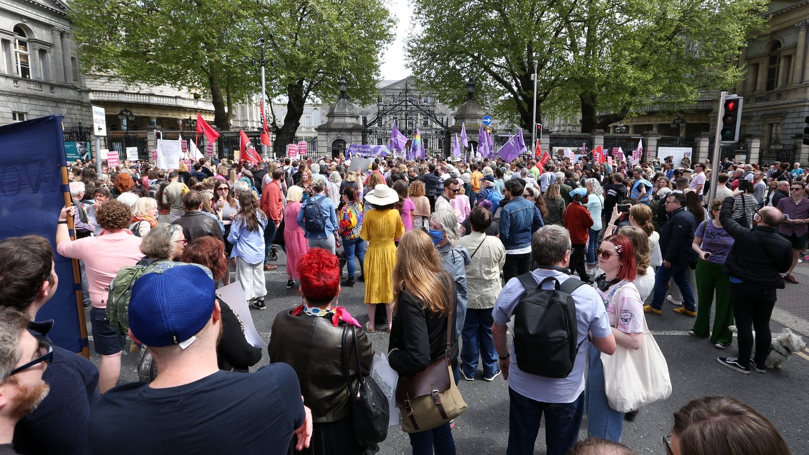 Protesters call for maternity hospital on public land