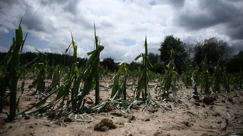 French and Italian farmers count cost of storms