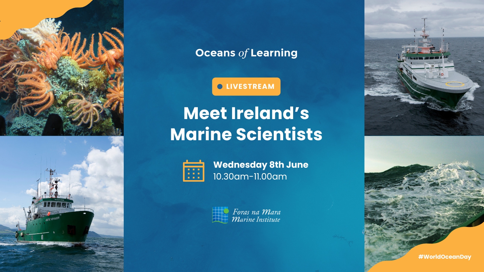 World Oceans Day: Meet Ireland's Marine Scientists live!
