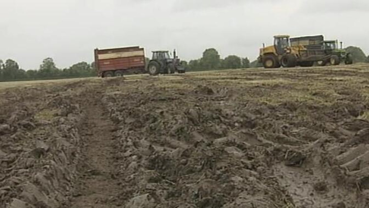 RTÉ Archives | Environment | Wet Weather Hits Farmers