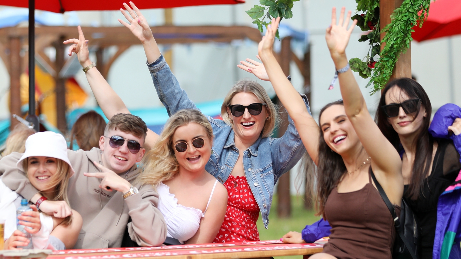 The fans at the Longitude Festival in Marlay Park