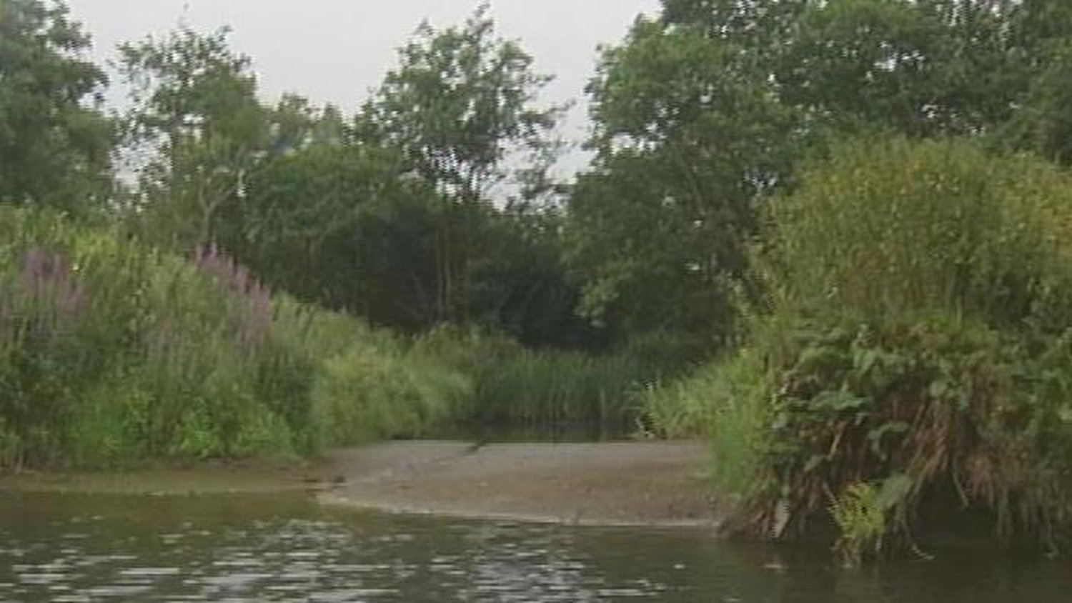 RTÉ Archives | Environment | Protect Wetlands In Ireland