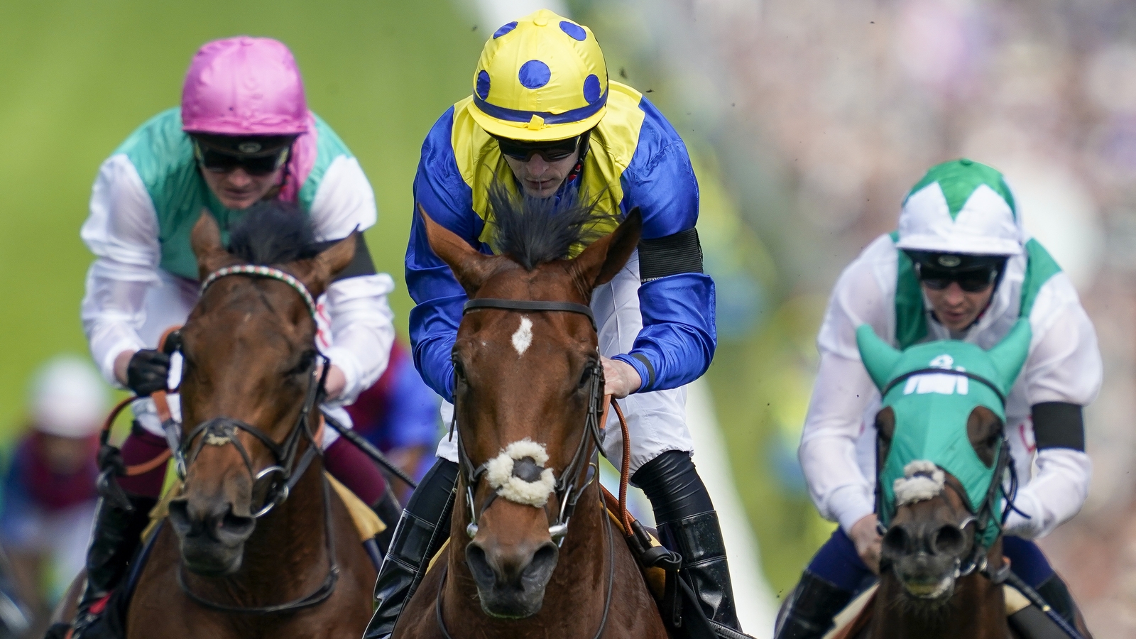 Stoute rules Derby champ Desert Crown out of York