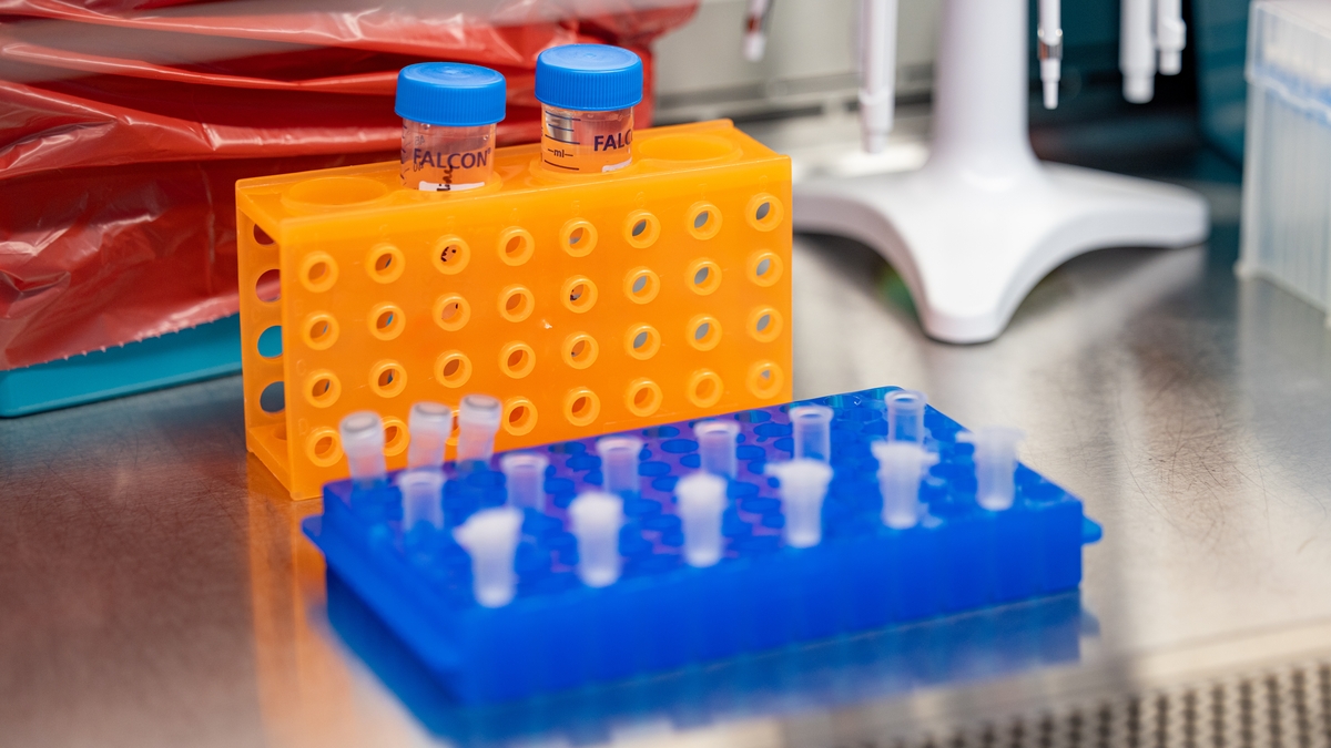 Shane Bergin explains: why trust in science matters | Today with Claire ...