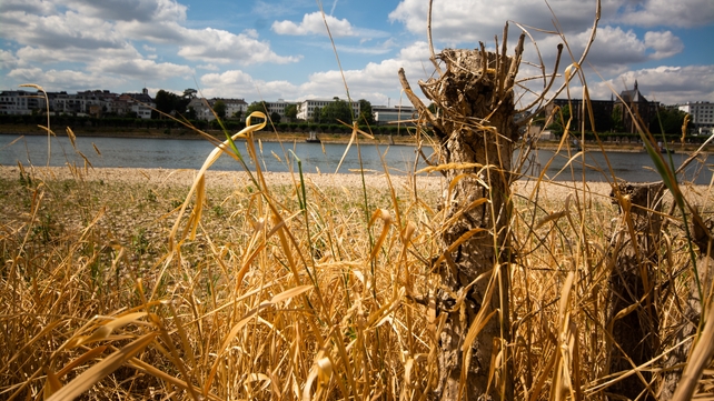 In pictures: Drought hits parts of Europe