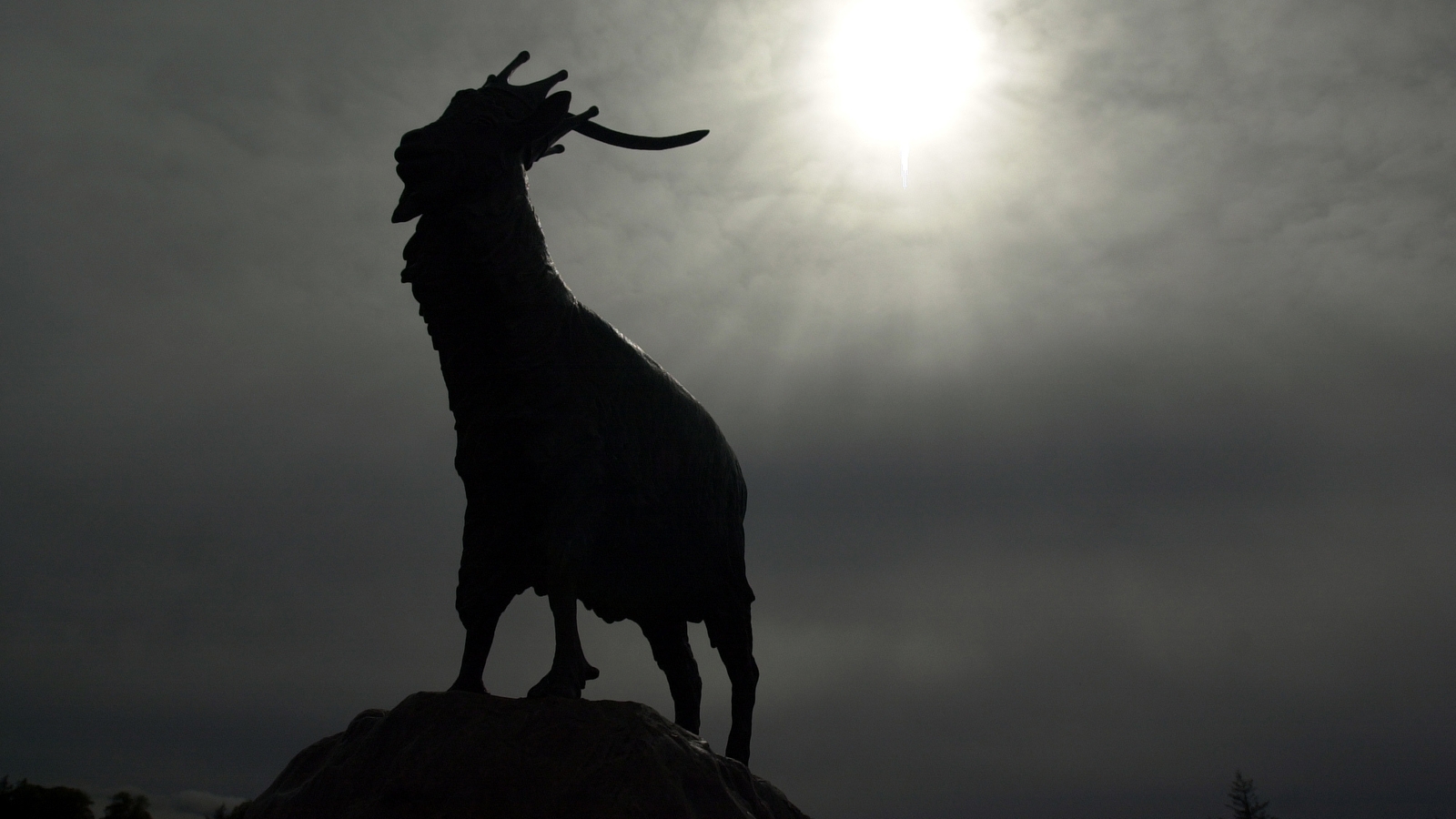 Concerns for Puck Fair goat as heatwave hits