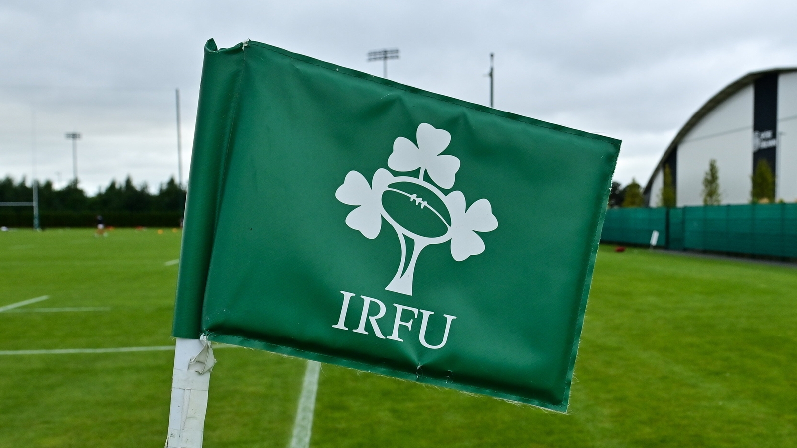 'When the IRFU did it, it cut even harder'