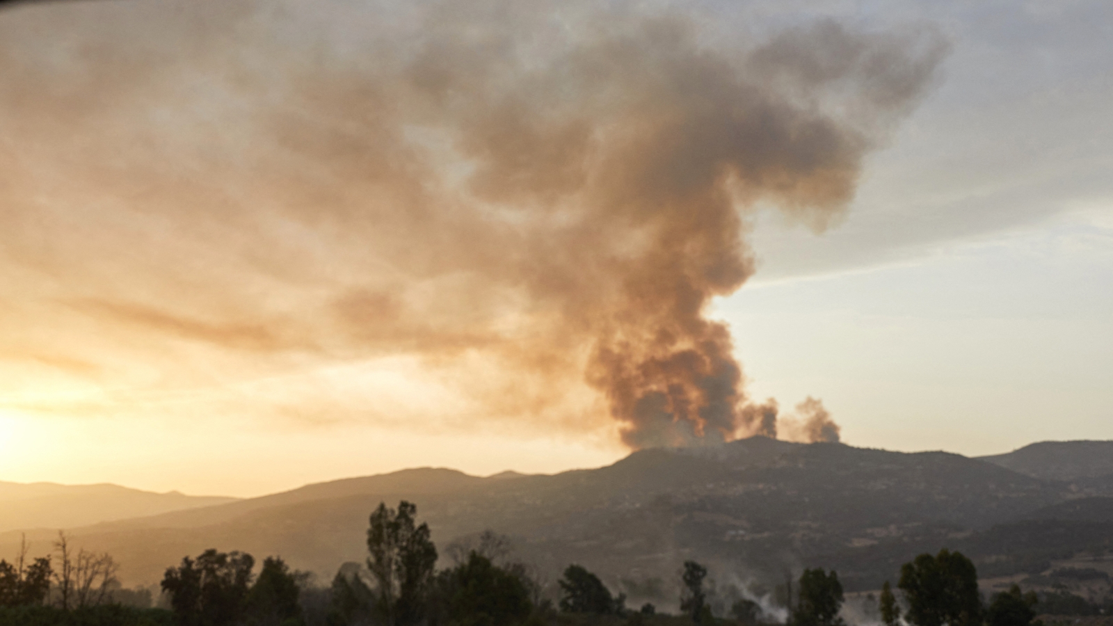 26 dead as forest fires spread in north Algeria
