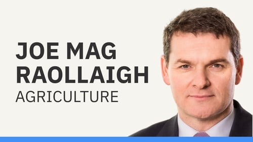 How the CAP remains vital to Irish agriculture