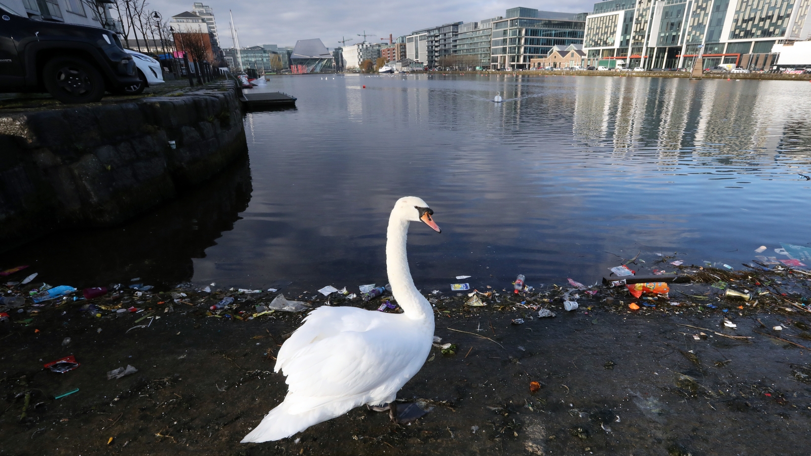 Harbours and beaches see rise in litter levels