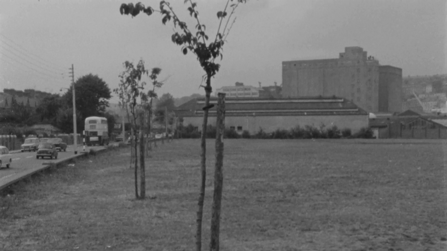 RTÉ Archives | Environment | Kennedy Park Cork