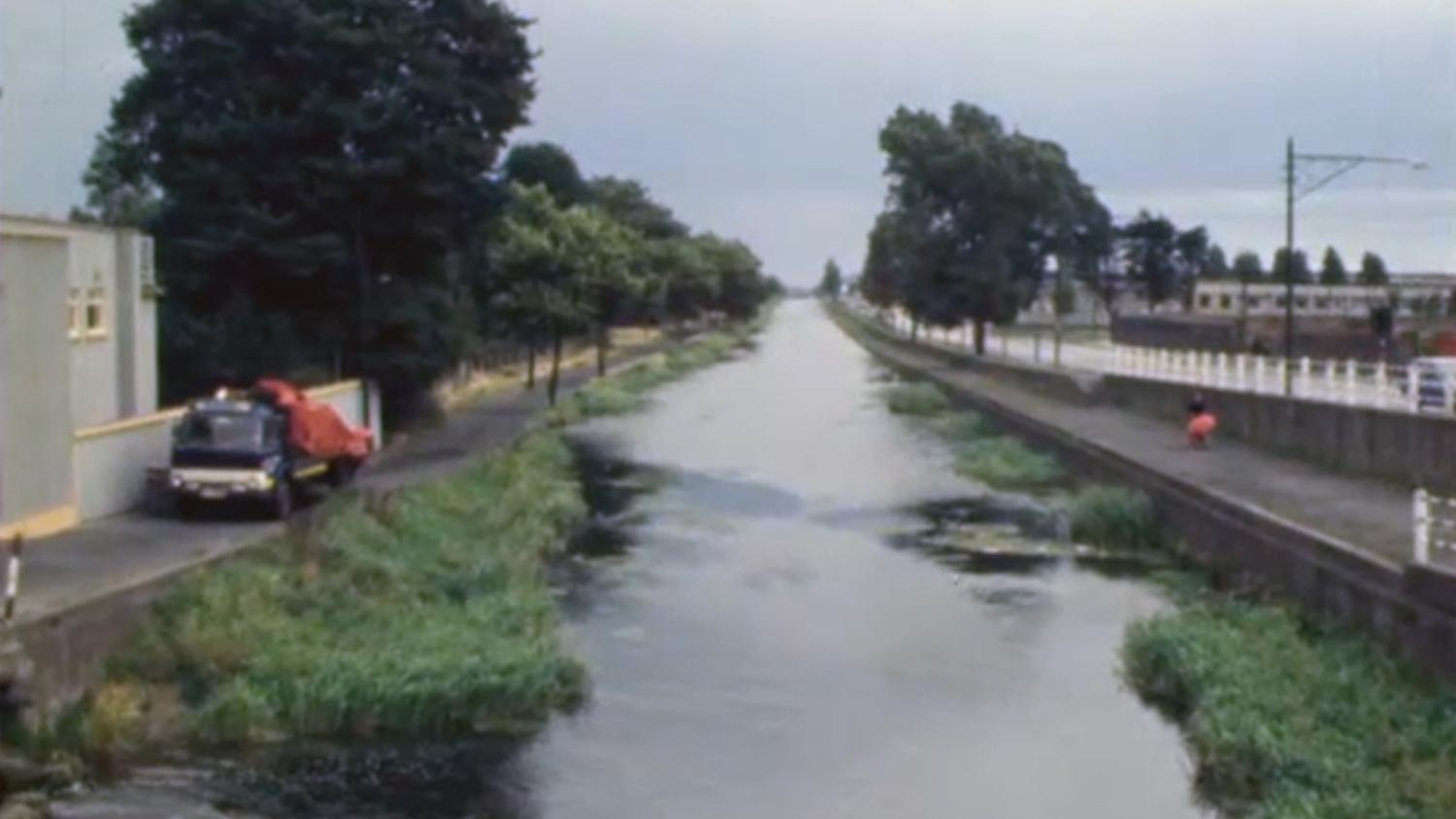 RTÉ Archives | Environment | Grand Canal Clean Up