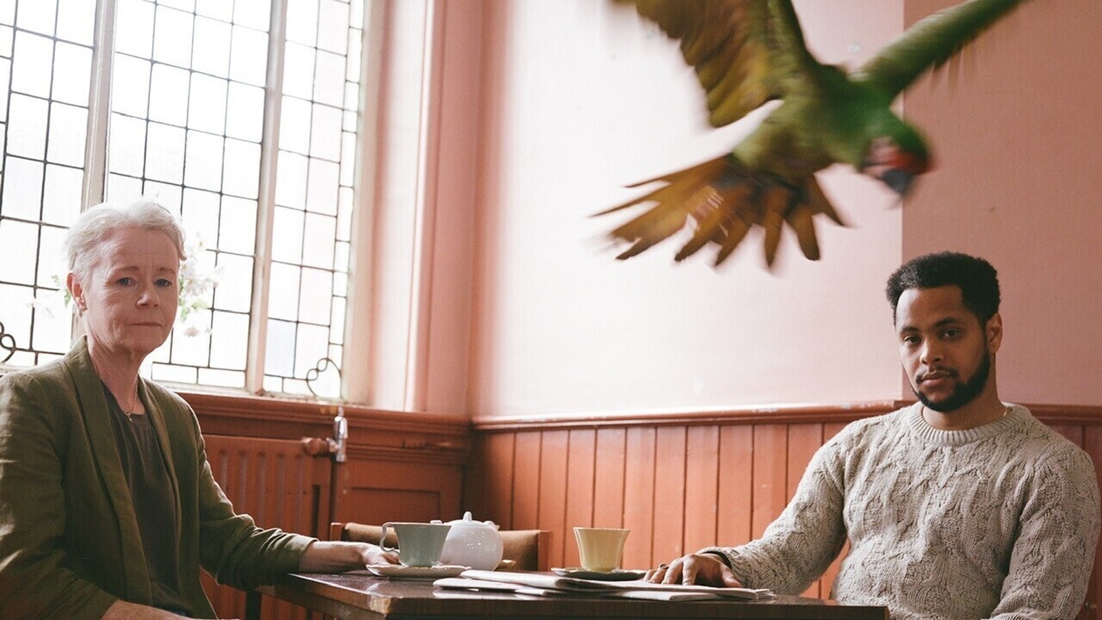 Dublin Fringe: Dylan Coburn Gray on comedy, tragedy & adoption