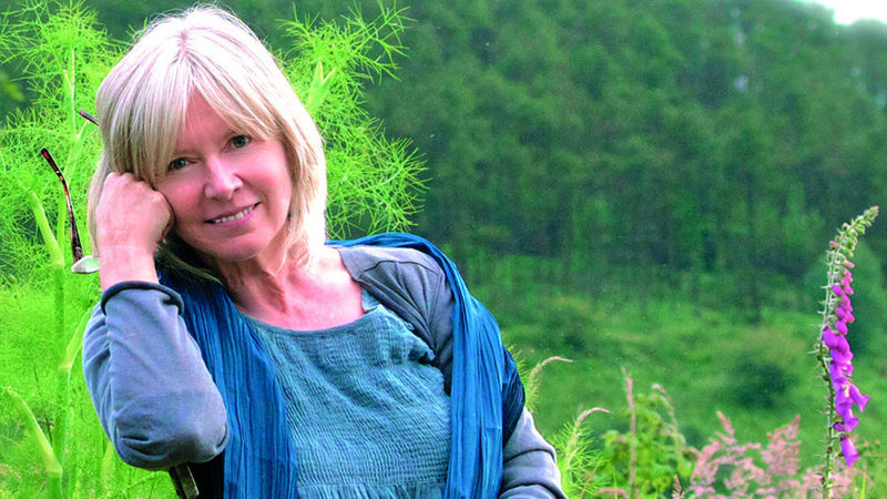 Solace by Catherine Drea - read an extract